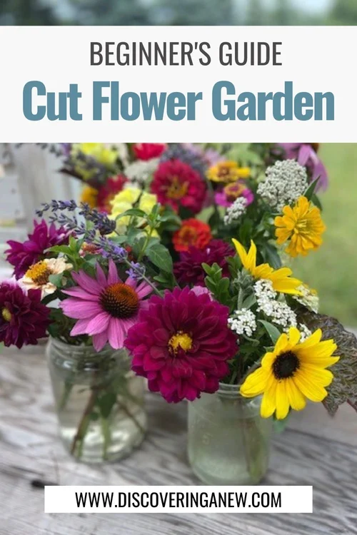 Starting a Cut Flower Garden: Beginner's Guide — discovering anew