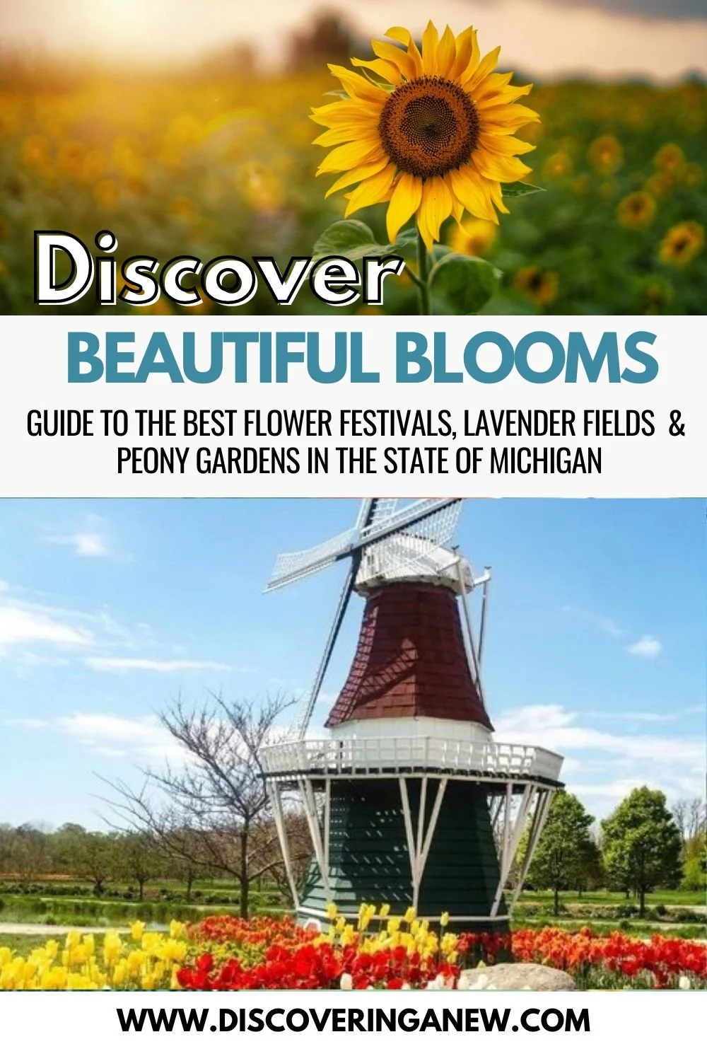 Must Visit Places in Michigan for Flower Lovers: A Bloom Guide to ...