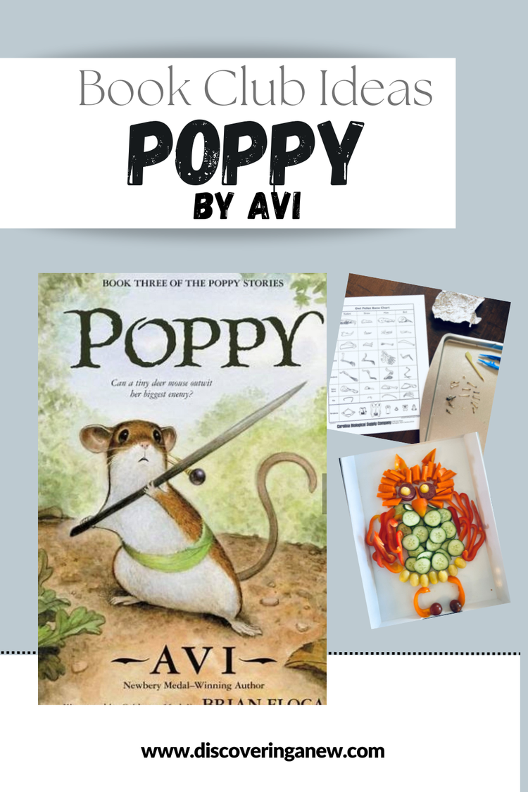Book Club Ideas for Poppy by Avi — discovering anew