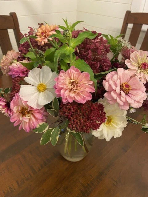 Starting a Cut Flower Garden: Beginner's Guide — discovering anew