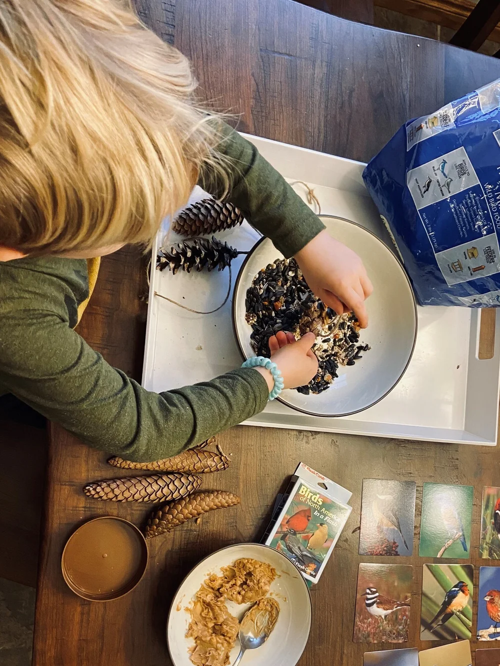 Pinecone Bird Feeders — discovering anew