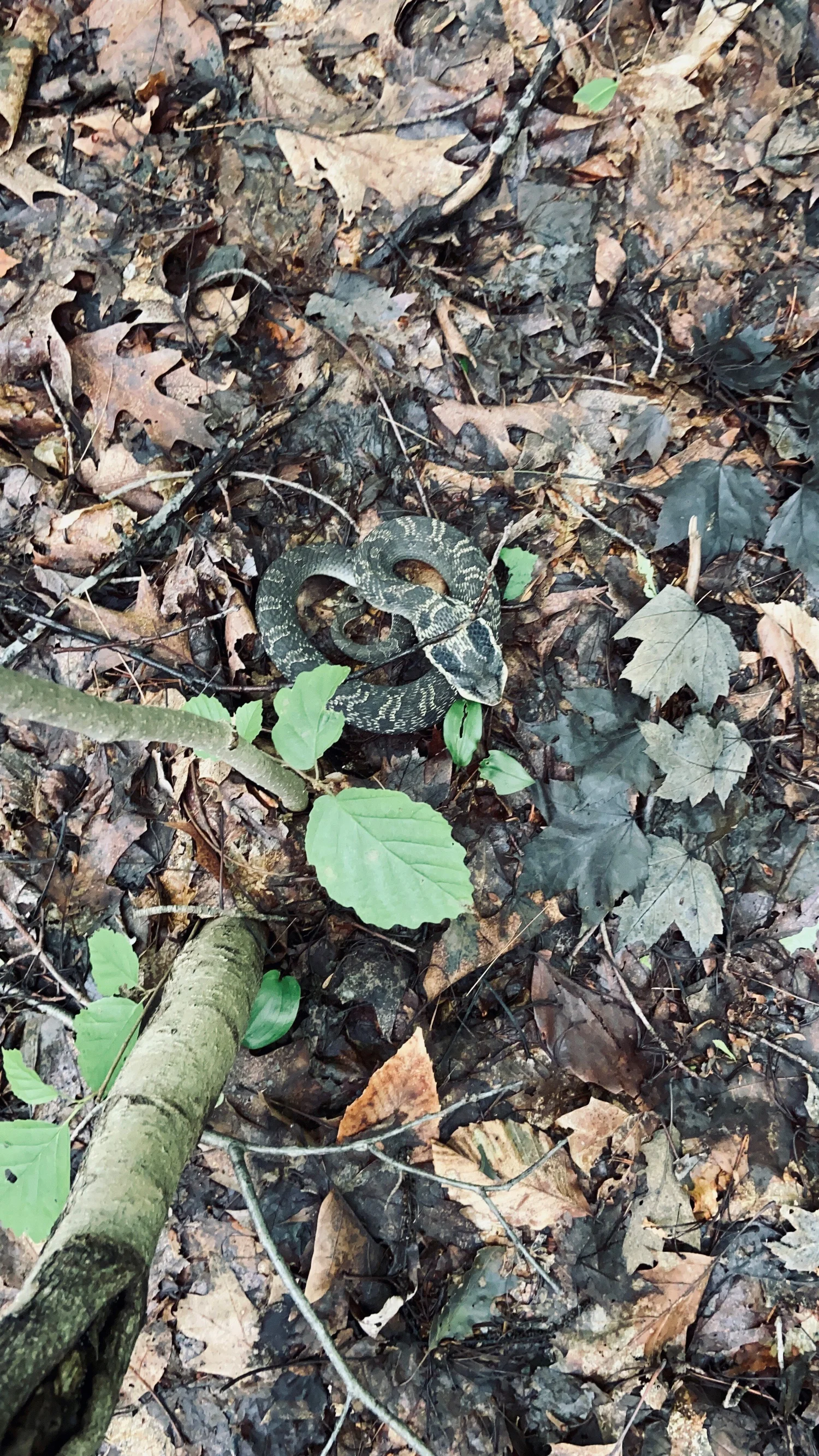 P. J. Hoffmaster State Park — discovering anew
