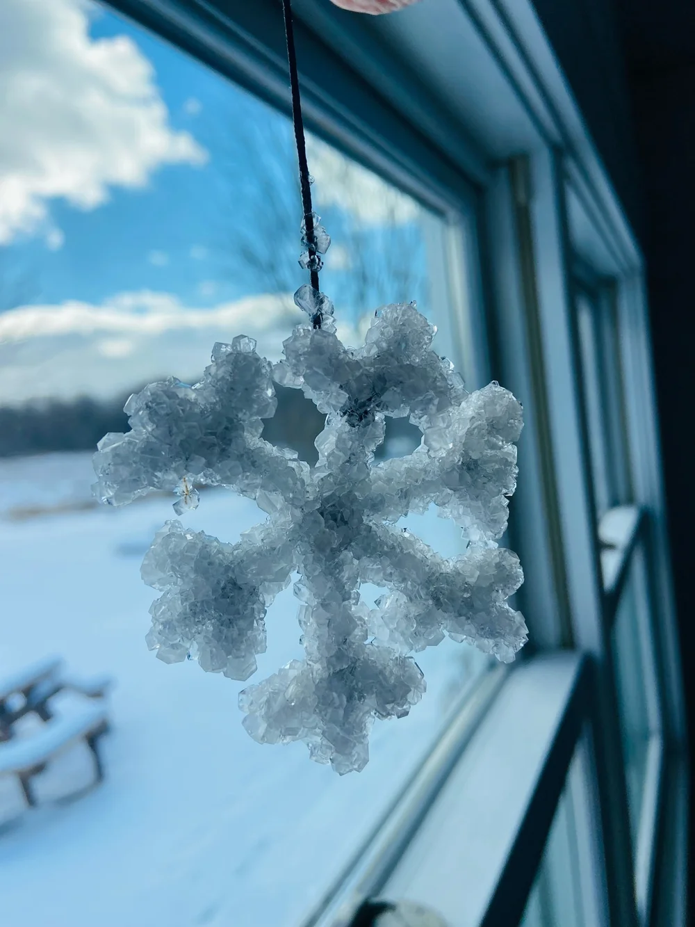 DIY Borax Crystals with Kids — discovering anew