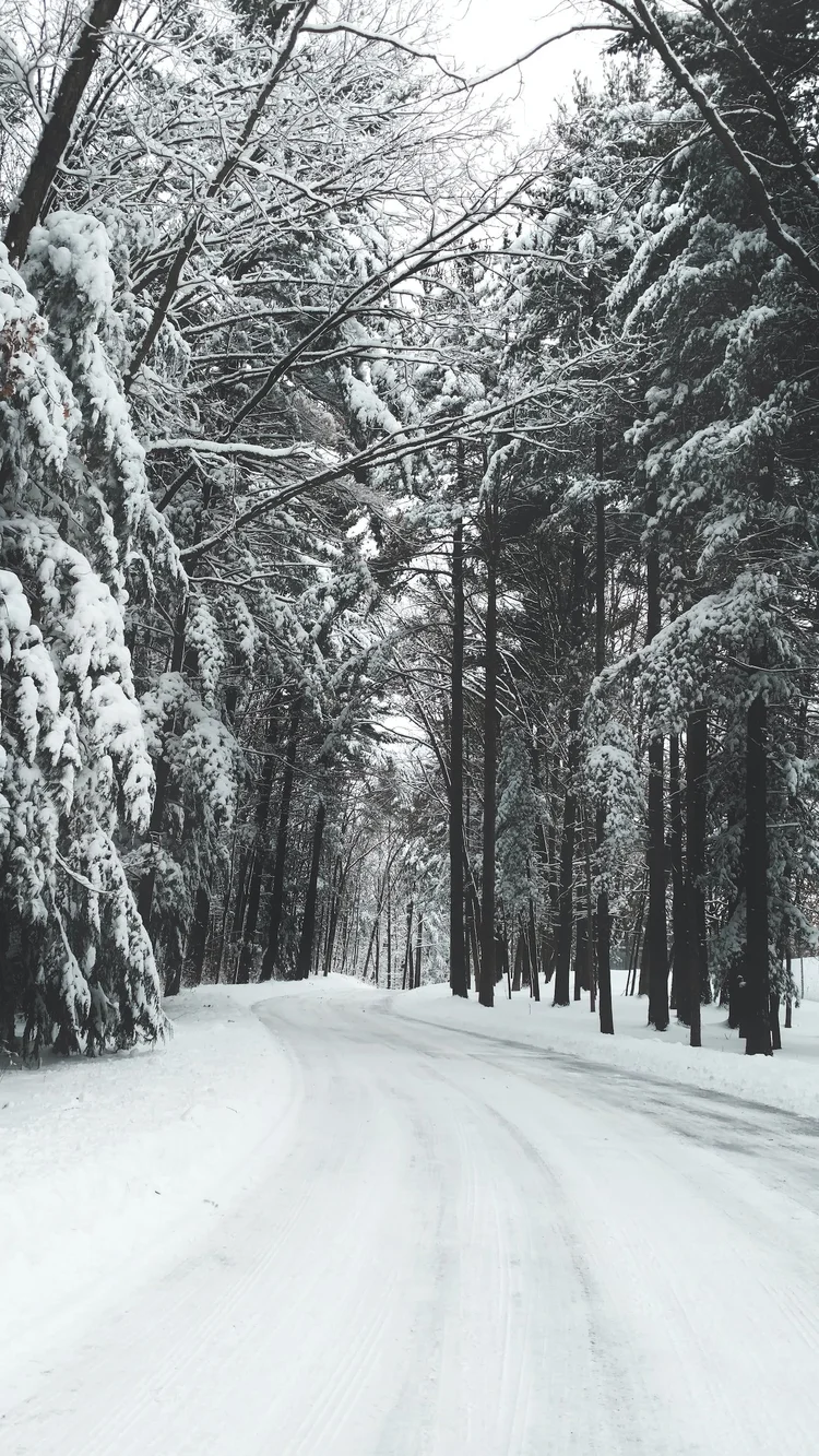 Winter Lantern Lit Night Hikes in Michigan — discovering anew