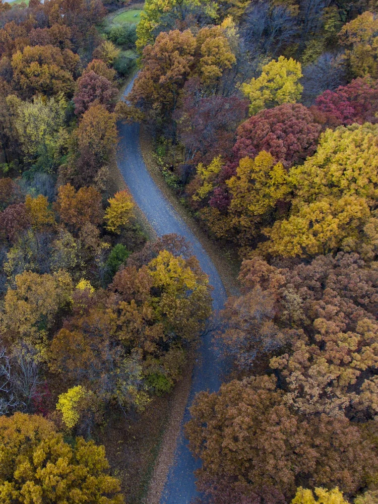 Fall Camping in Michigan for the Best Fall Color — discovering anew