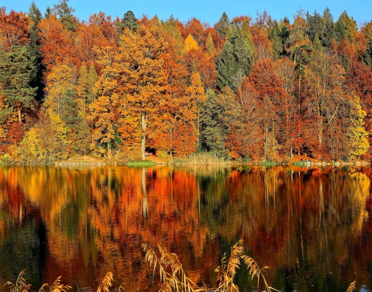 Best Michigan Campgrounds with Halloween Activities and Fall Harvest ...