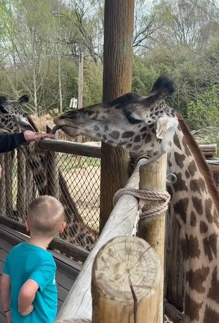 Tips for Visiting the Cincinnati Zoo and Botanical Gardens with Kids: A ...