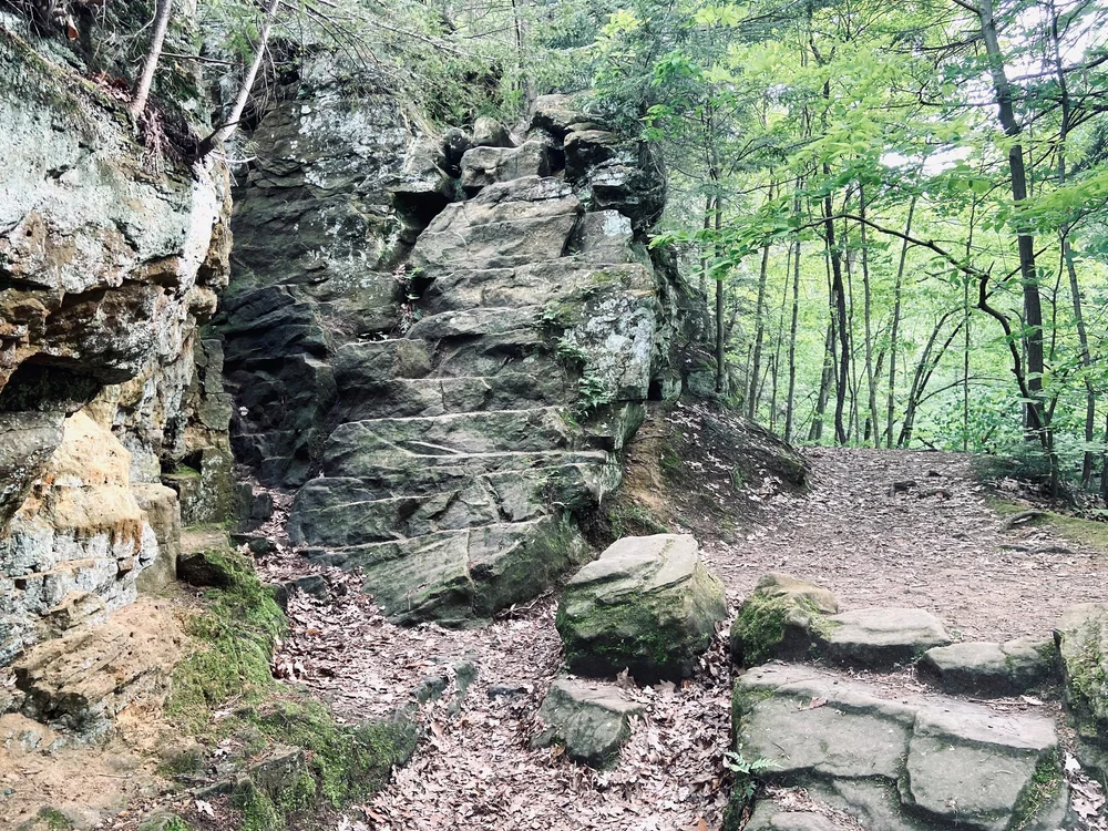 Hike the Ledges Trail at Grand Ledge — discovering anew