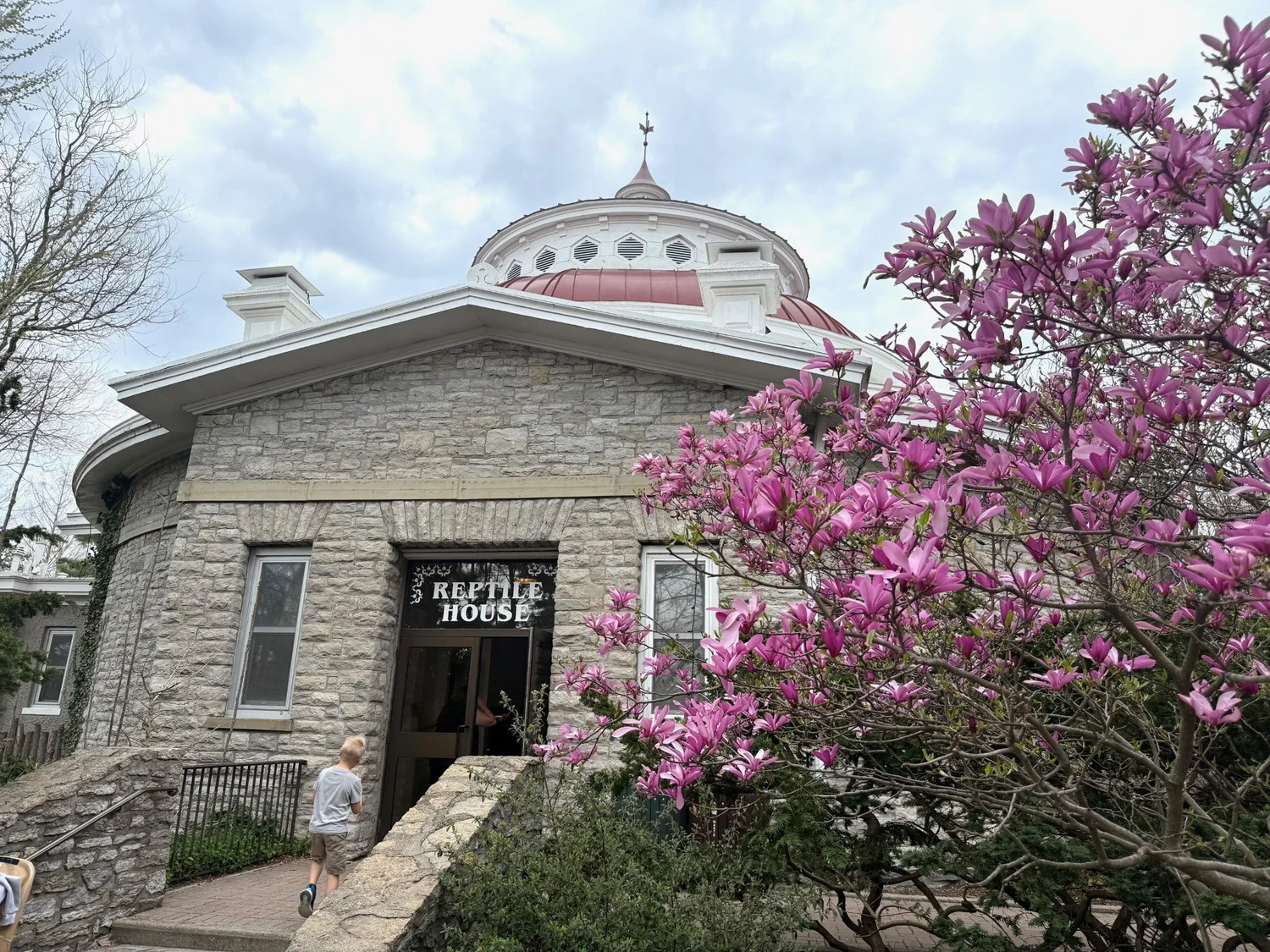 Tips for Visiting the Cincinnati Zoo and Botanical Gardens with Kids: A ...