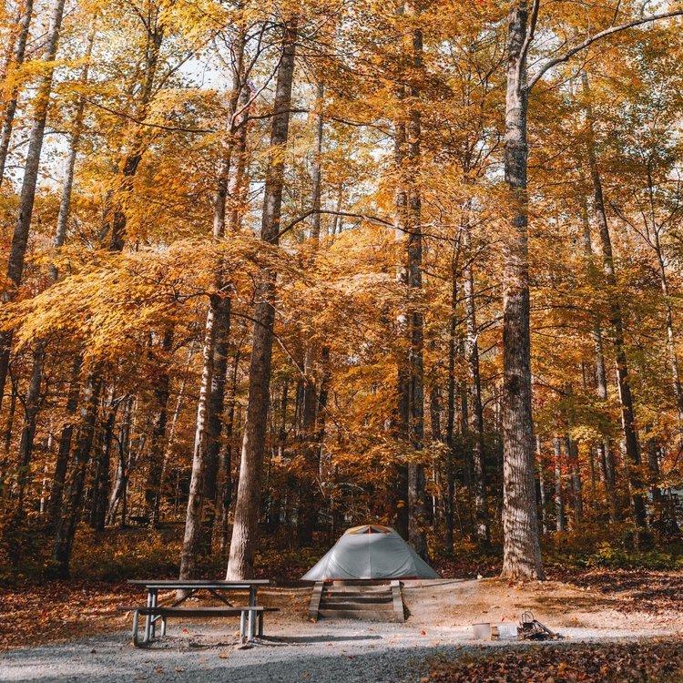 Best Michigan Campgrounds with Halloween Activities and Fall Harvest ...