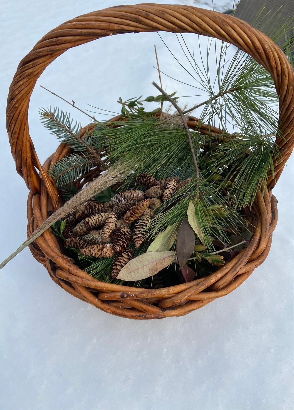 Nature Mandalas: Outdoor Activity for Kids — discovering anew