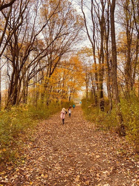 Best Michigan Campgrounds with Halloween Activities and Fall Harvest ...