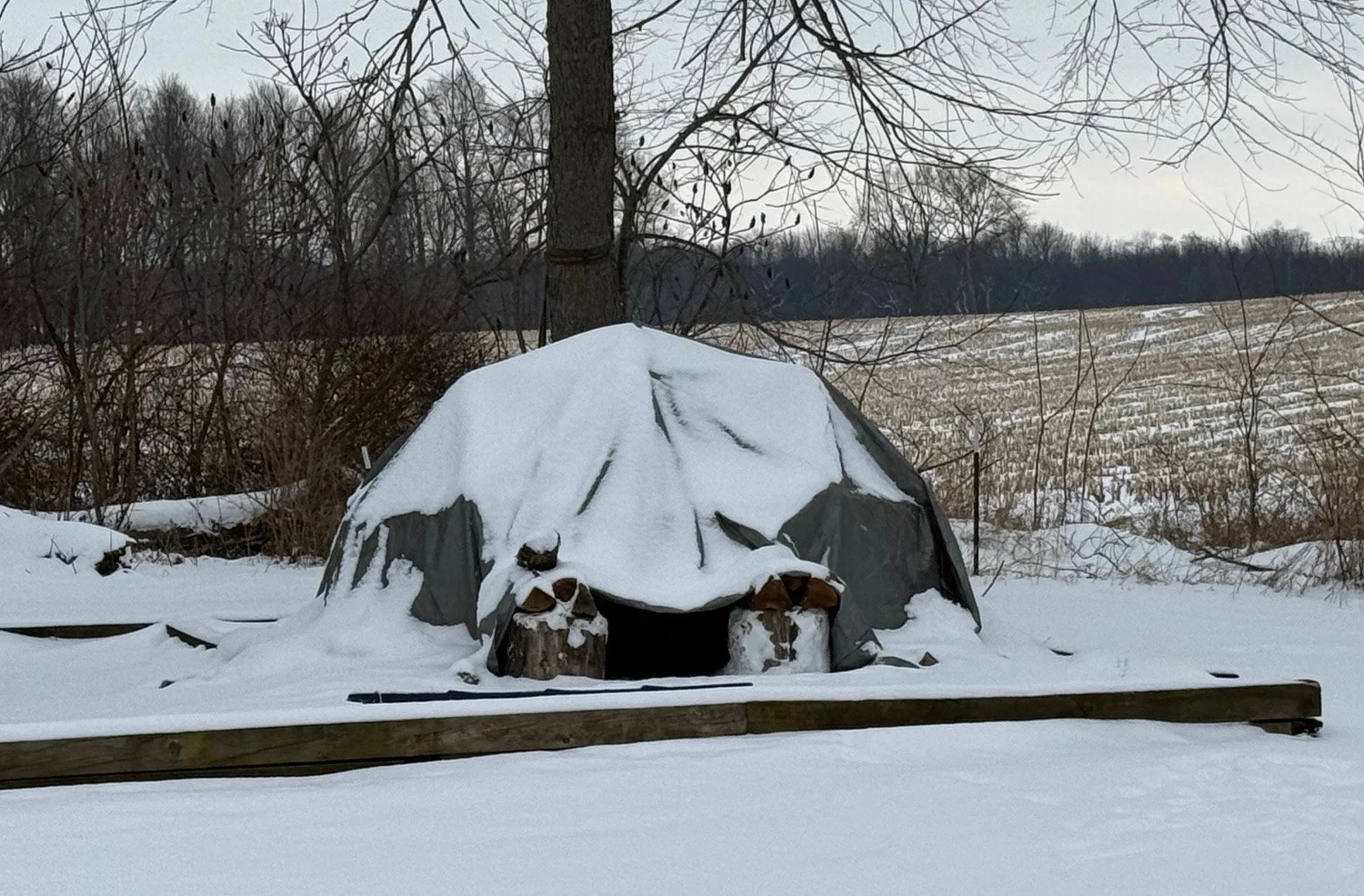 Creative Ways to Keep Kids Active During the Winter: 21 Outside ...