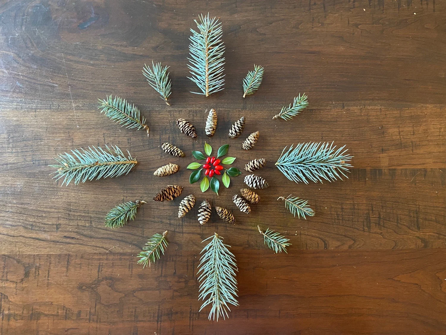 Nature Mandalas: Outdoor Activity for Kids — discovering anew