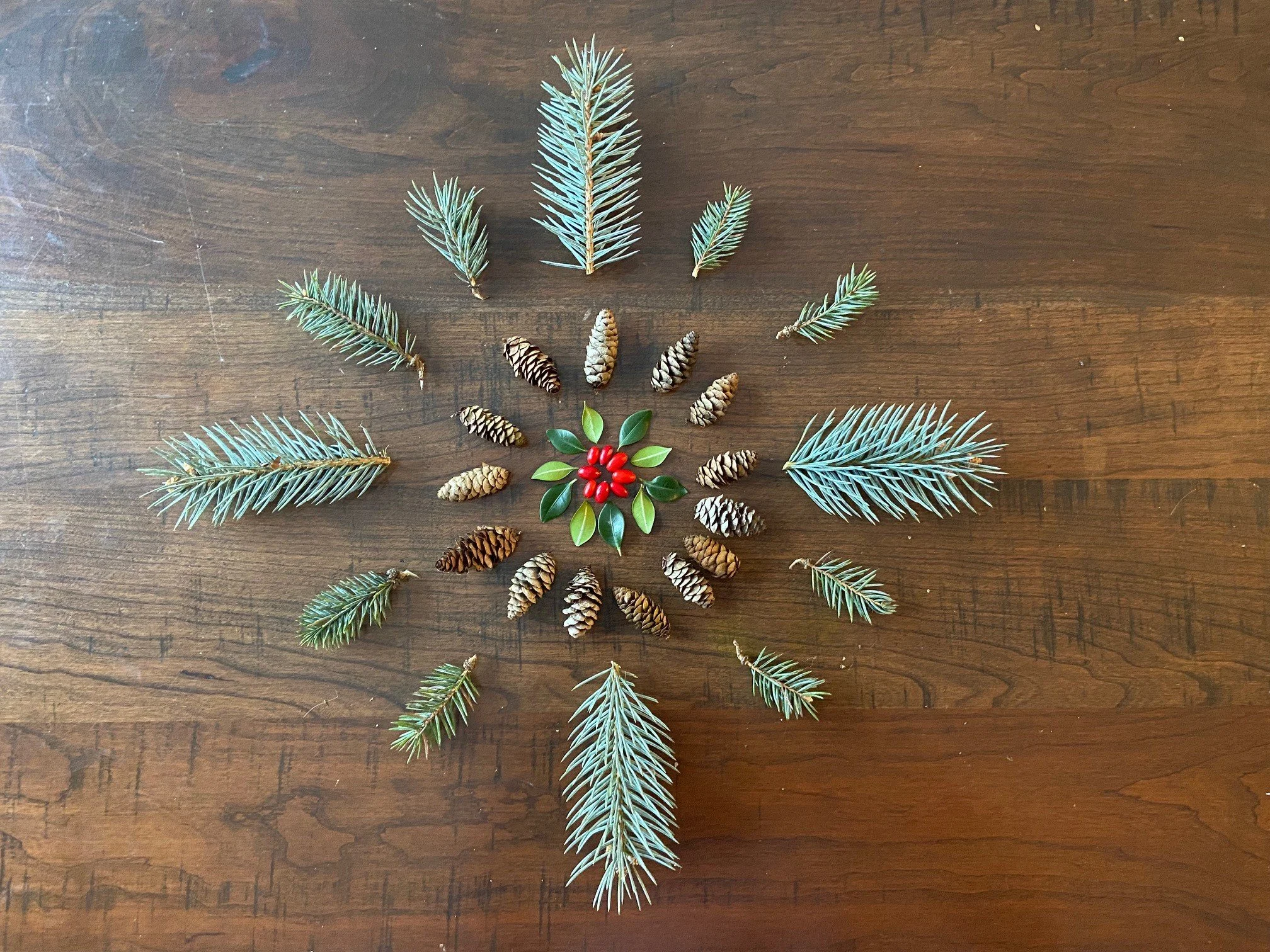 Nature Mandalas: Outdoor Activity for Kids — discovering anew