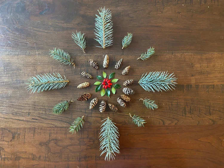 Nature Mandalas: Outdoor Activity for Kids — discovering anew