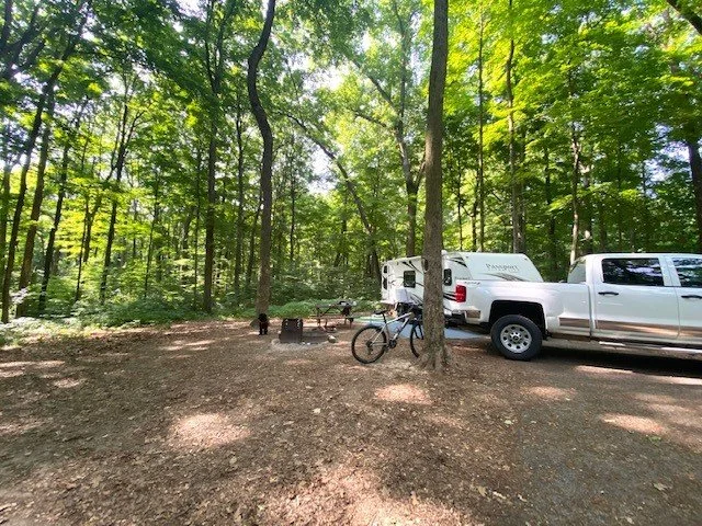 Turkey Run State Park Trail Guide for Families & Nature Lovers ...