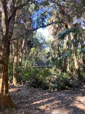 Discover Manatee Park: A Family-Friendly Place to View Manatees ...