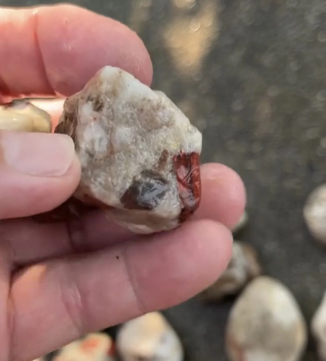 The Coolest Rocks to Find in Michigan with Kids — discovering anew