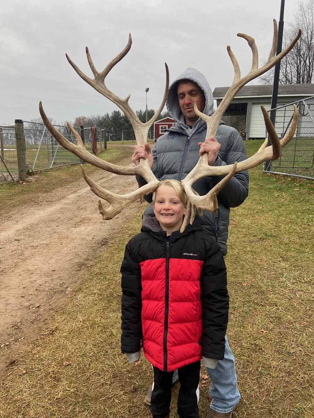 Full Guide to Reindeer Encounters this Christmas in Michigan ...