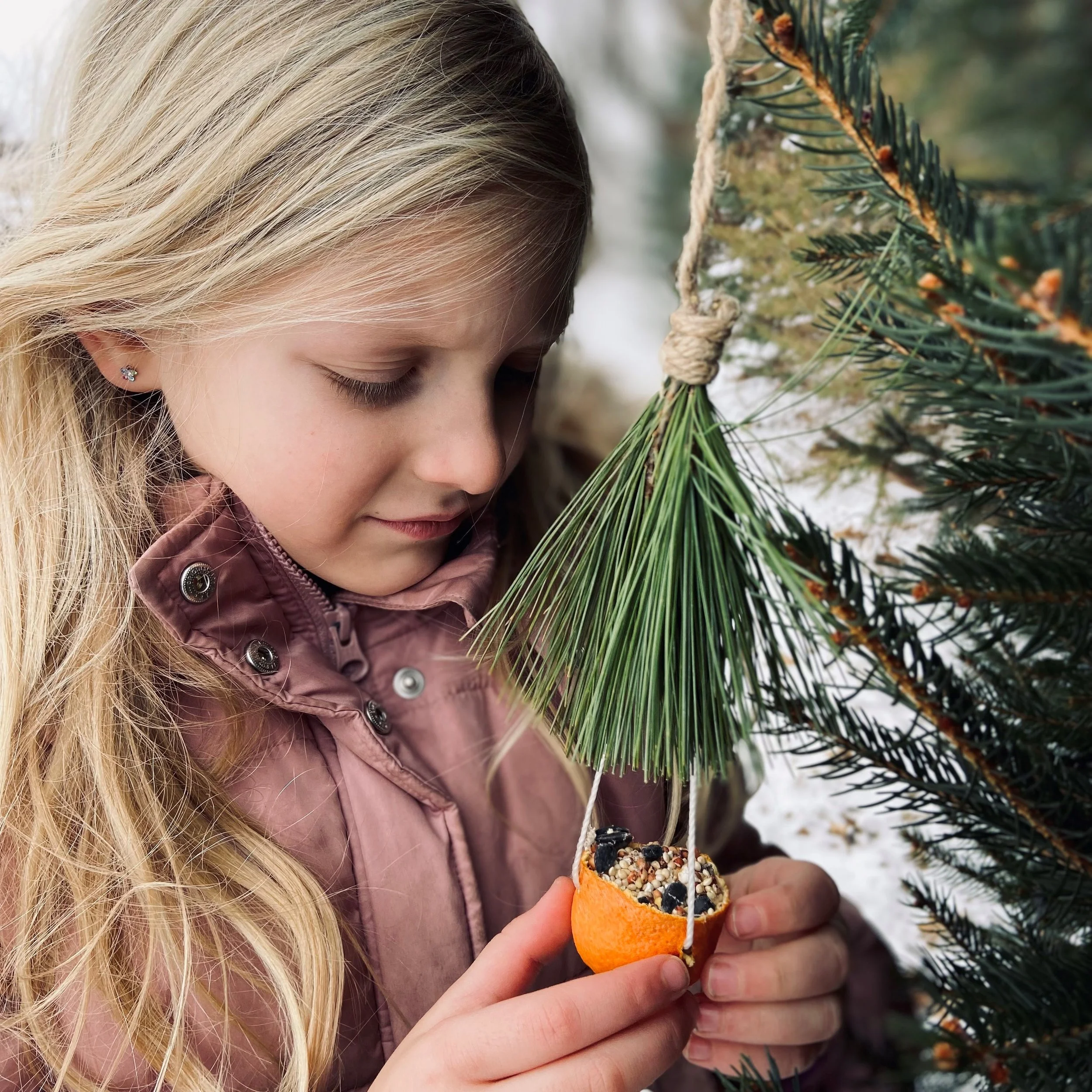 12 Creative Ways to Celebrate Winter Solstice — discovering anew