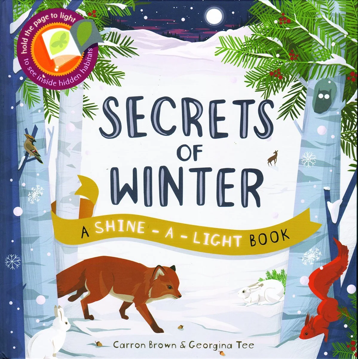 Winter Themed Children’s Books to Read during Winter Solstice ...