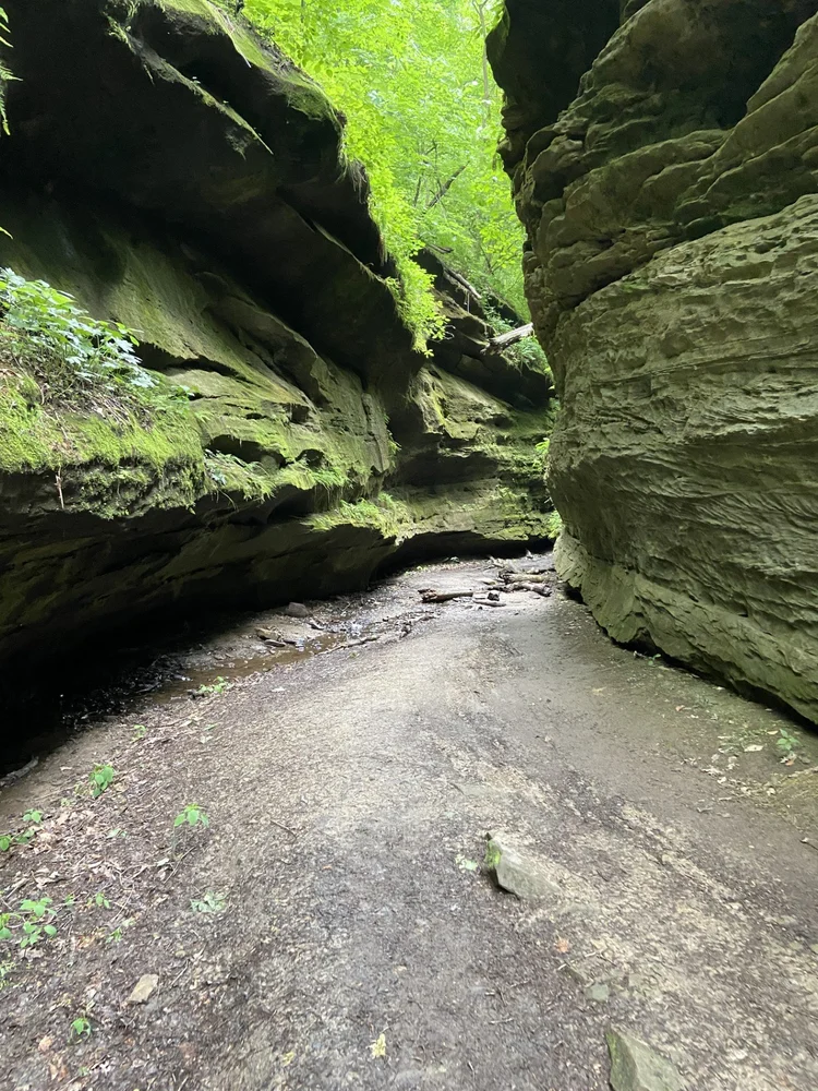 Hiking Trail 3 at Turkey Run State Park: Ladders, Canyons and Must-See ...