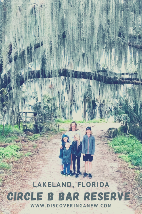 An Otherworldly hike at Circle B Bar Reserve — discovering anew