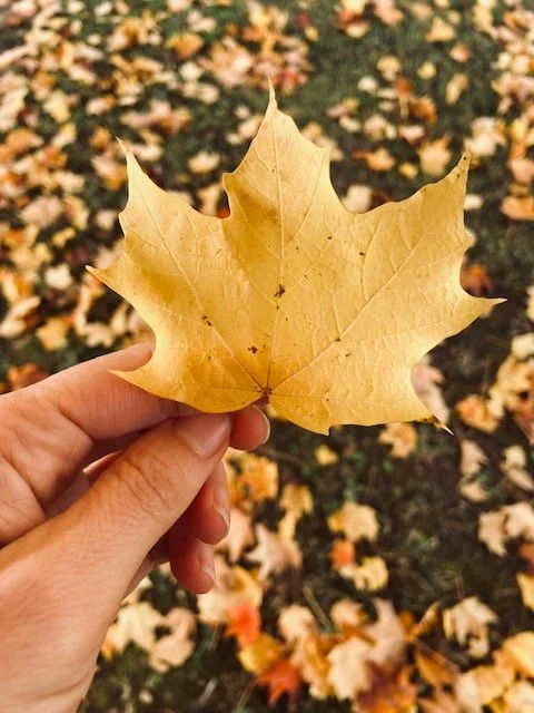 DIY Fall Leaf Crown: A Simple Autumn Craft for Kids — discovering anew