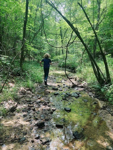 Secluded Hiking at Ohio Hanging Rock Preserve — discovering anew
