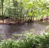 Adventure Awaits while Hiking the Gorge Overlook Trail in Mohican State ...