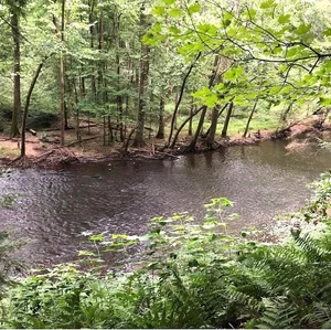 Adventure Awaits while Hiking the Gorge Overlook Trail in Mohican State ...