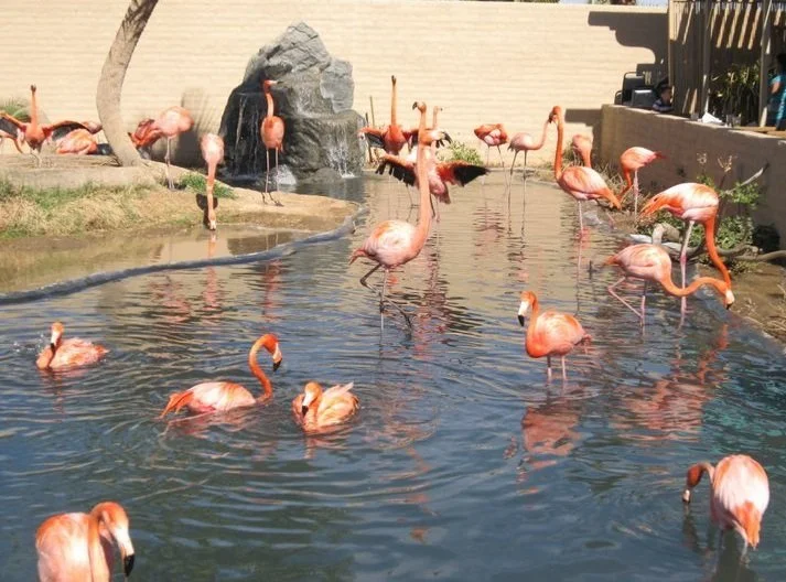 Experience the Best of Phoenix and Sedona, Arizona while on Vacation ...