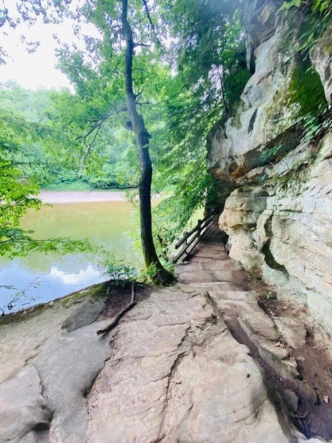 Turkey Run State Park Trail Guide for Families & Nature Lovers ...