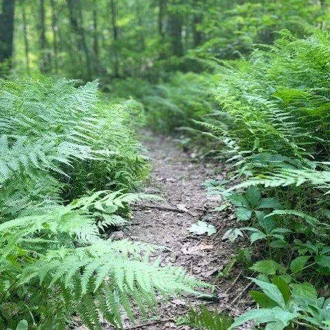 Shawnee State Park, Ohio: Hiking, Activity & Trip Guide for Families ...