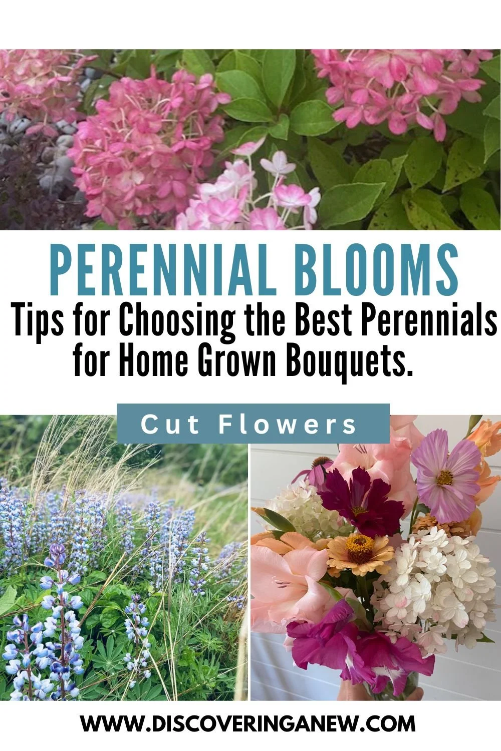 Perennials to Add to Your Yard for Cut Flower Bouquets — discovering anew