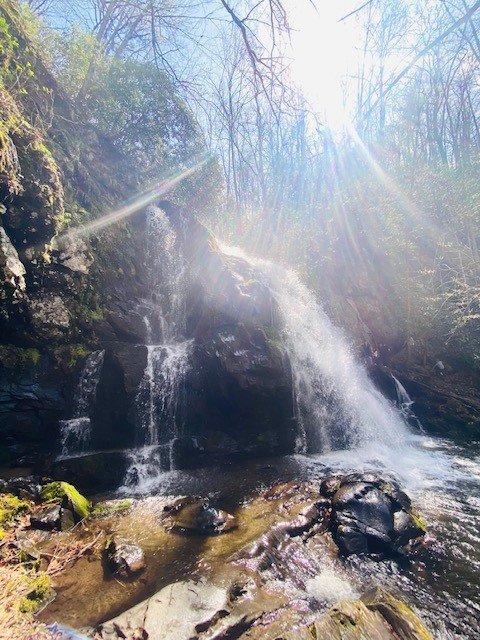 Great Smoky Mountain's Waterfall Hiking Guide for Families ...