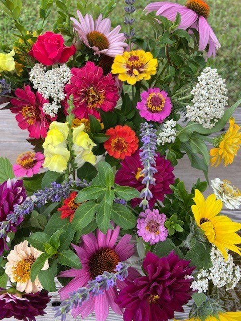 Starting a Cut Flower Garden: Beginner's Guide — discovering anew