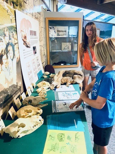 Waterloo State Recreation Area: Learn about Nature at the Eddy ...