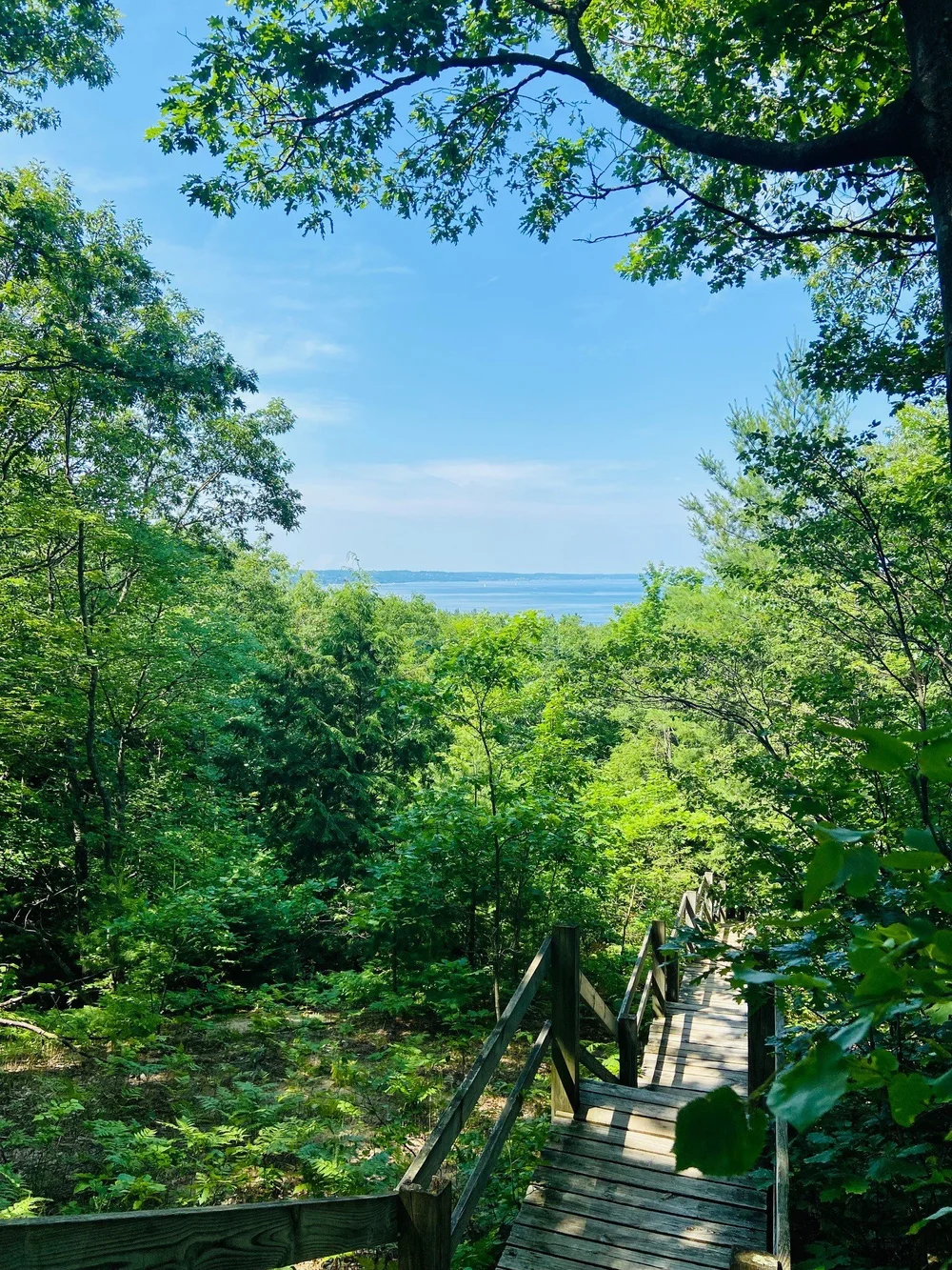 Hike the Trails at Petoskey State Park: Detailed Guide — discovering anew