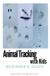 Animal Tracking with Kids: Beginners Guide — discovering anew