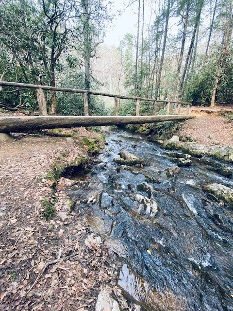 Great Smoky Mountain's Waterfall Hiking Guide for Families ...