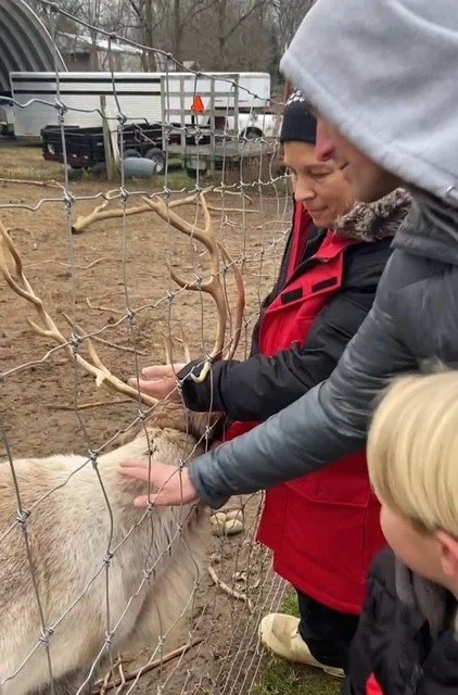 Full Guide to Reindeer Encounters this Christmas in Michigan ...