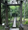 Adventure Awaits while Hiking the Gorge Overlook Trail in Mohican State ...