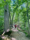 Waterloo State Recreation Area: Learn about Nature at the Eddy ...