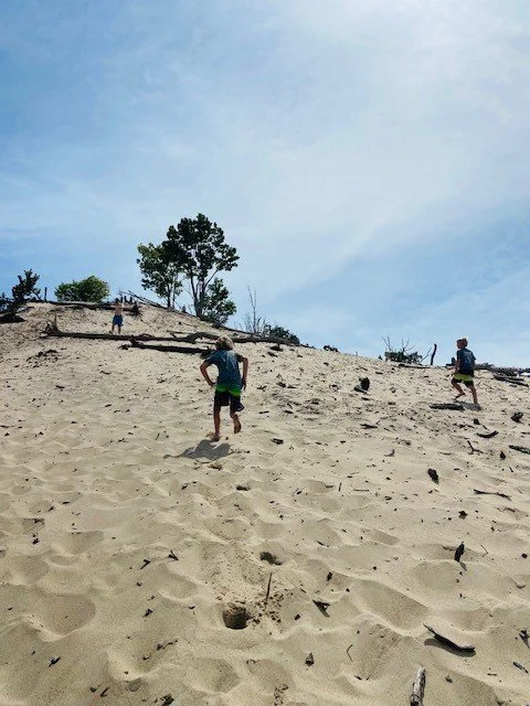 Warren Dunes State Park: Michigan Camping Guide — discovering anew