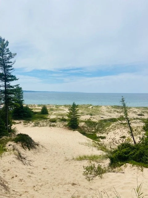 Hike the Trails at Petoskey State Park: Detailed Guide — discovering anew