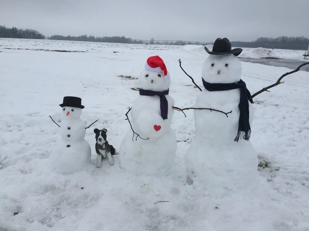 4 Outdoor Winter Activities for Kids — discovering anew