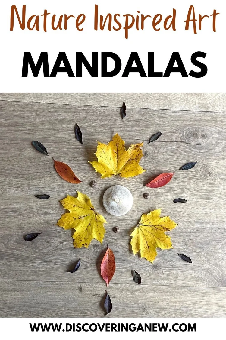 Nature Mandalas: Outdoor Activity for Kids — discovering anew