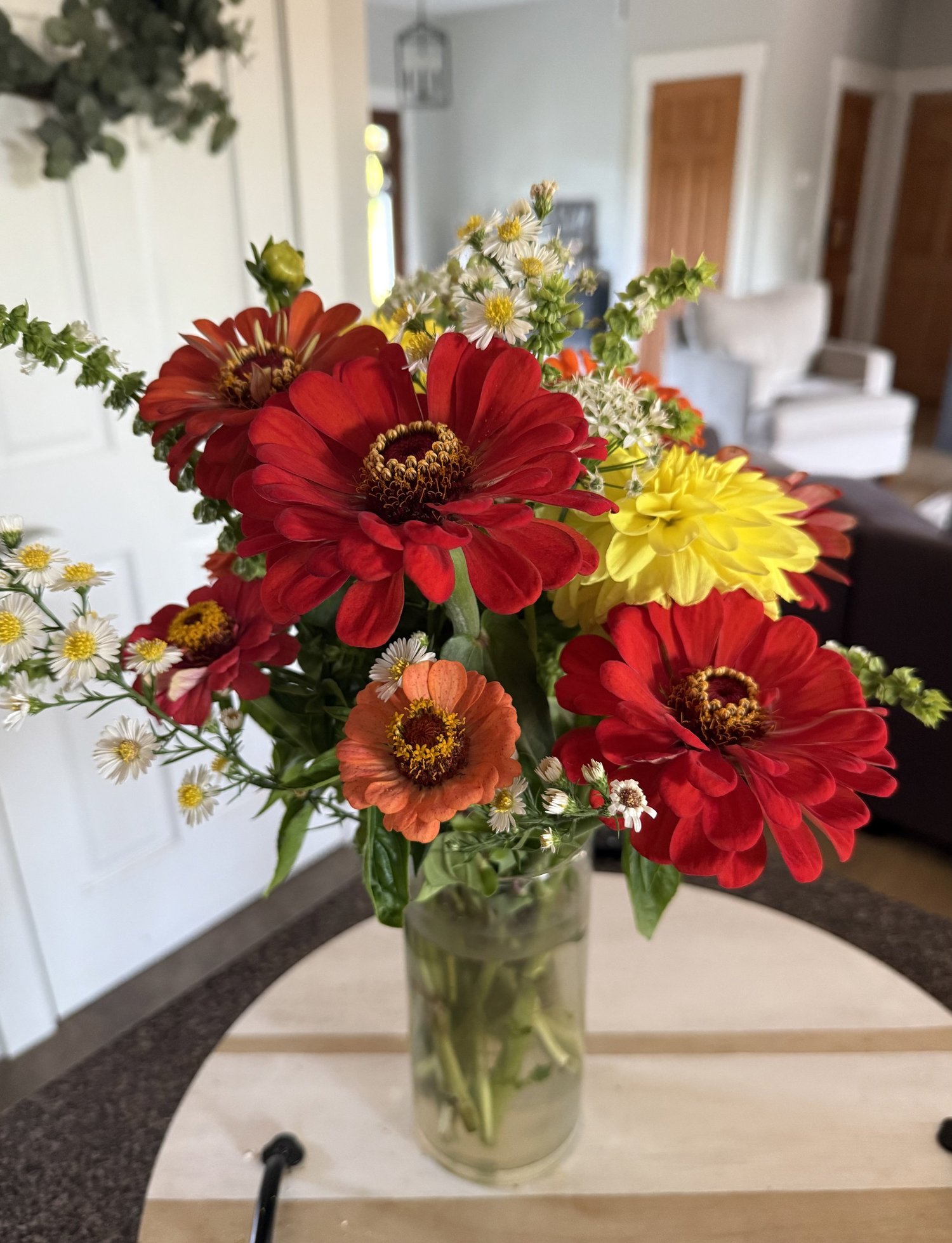 Starting a Cut Flower Garden: Beginner's Guide — discovering anew